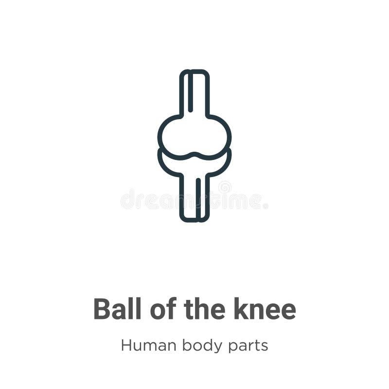 Ball of the Knee Icon. Trendy Flat Vector Ball of the Knee Icon Stock ...