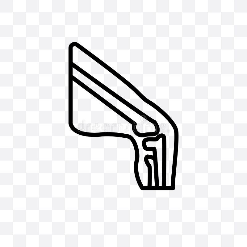 Knee Transparency Stock Illustrations – 135 Knee Transparency Stock ...