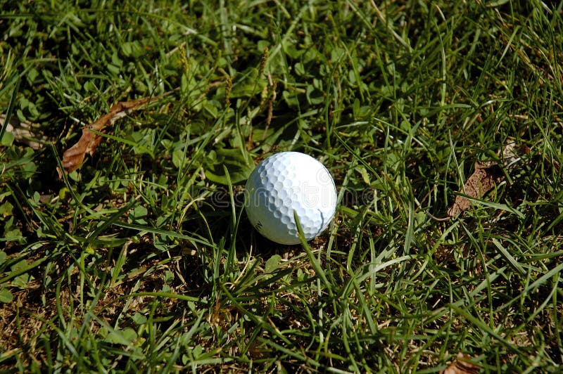 In The Rough Picture. Image: 4981708