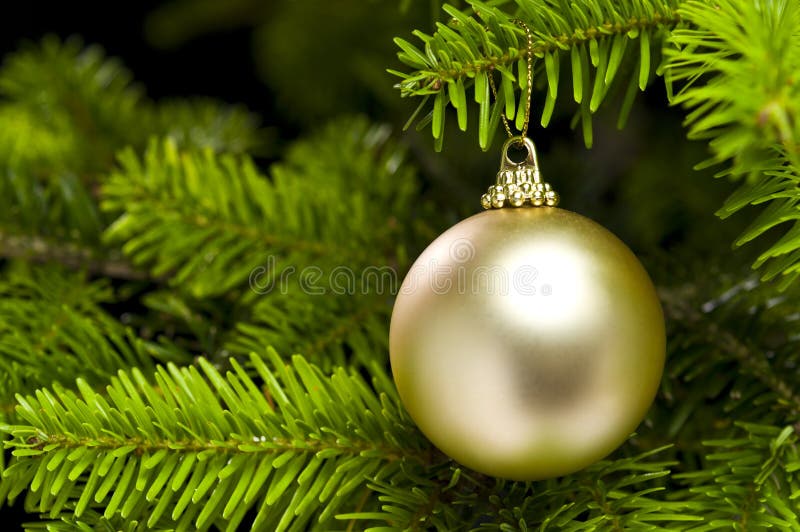 Yellow Christmas Ornaments in Christmas Tree Stock Photo - Image of ...