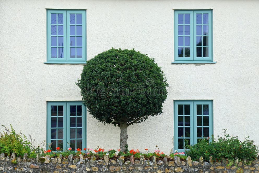 Ball-shaped tree stock image. Image of green, floral - 122653111