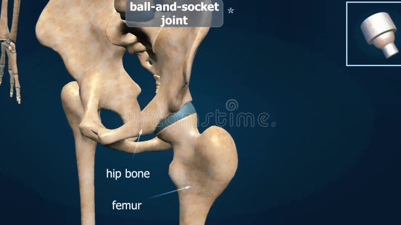 Ball and socket joint stock footage. Video of motion - 341366420