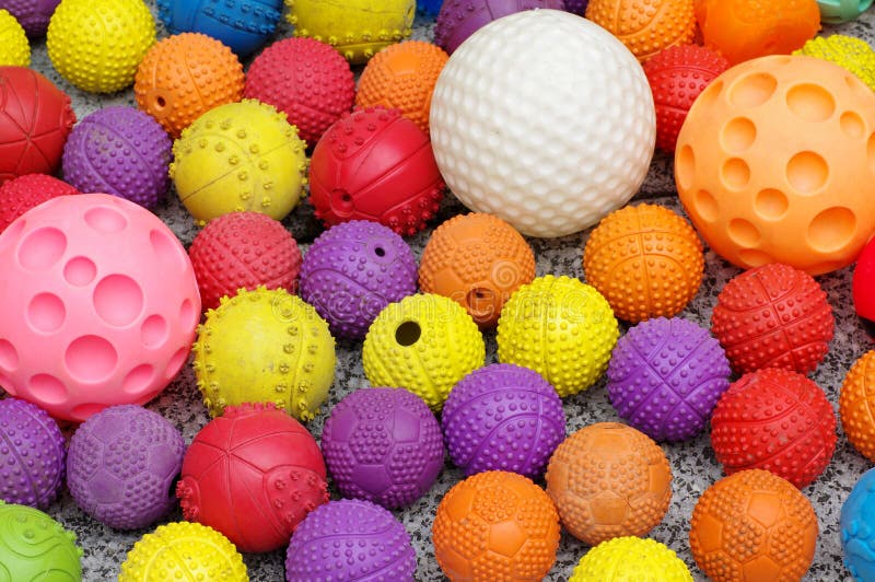 Ball Toy for Dogs Group Objects Stock Photo - Image of catch, animals ...