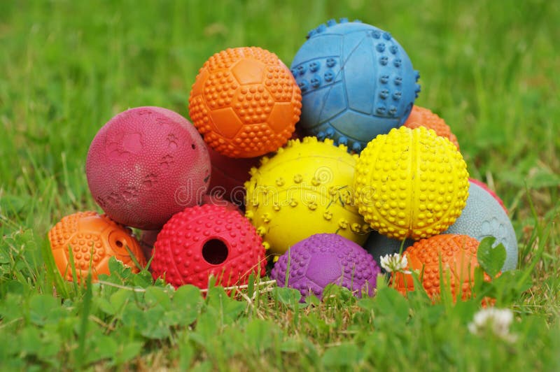 Ball toy for dogs 4 stock image. Image of soft, catch - 41650031