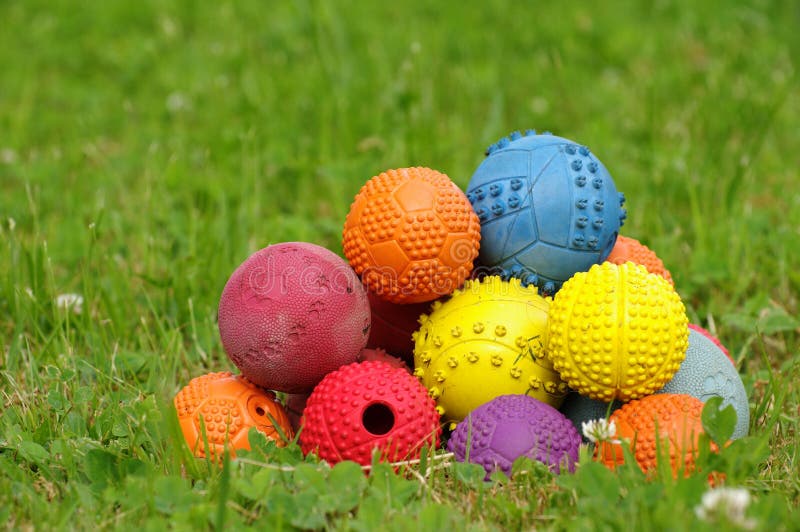 Ball toy for dogs 3 stock image. Image of color, play - 41650181
