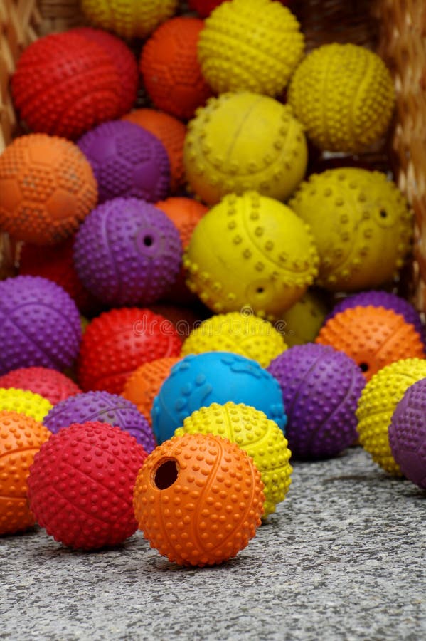 Ball Toy Dogs Objects Group Detail Stock Photos - Free & Royalty-Free ...