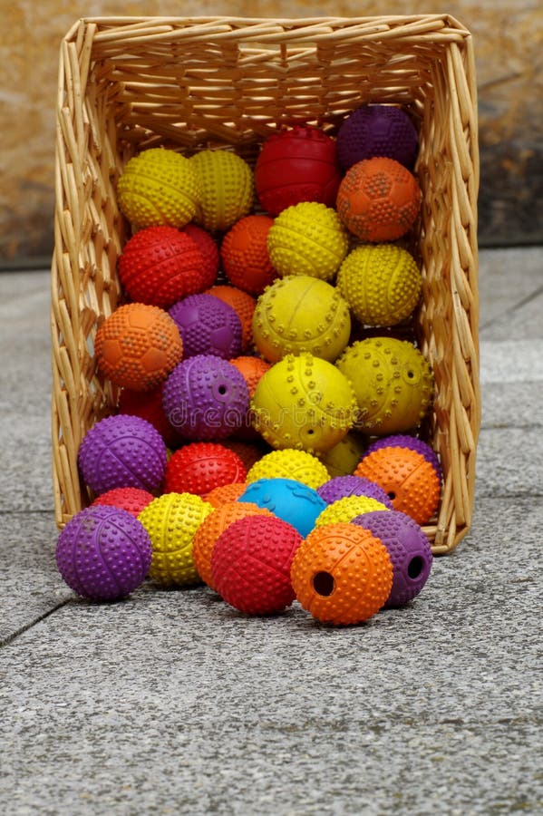 Ball Toy for Dogs Wicker Basket Stock Image - Image of play, blue: 70280057