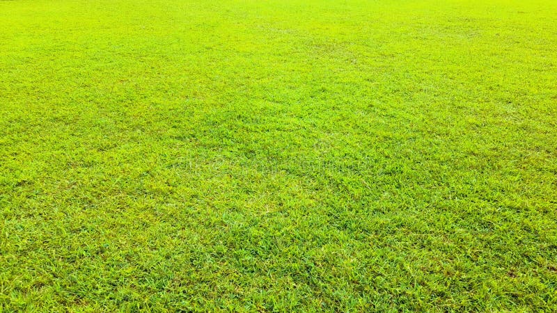 Ball Wheeling on the Grass Field Stock Footage - Video of football ...