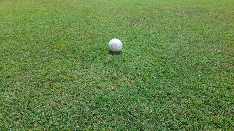 Ball Wheeling on the Grass Field Stock Footage - Video of football ...