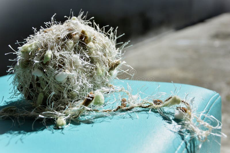 Ball of Wool Under the Pouf in the Backyard Stock Image - Image of ...