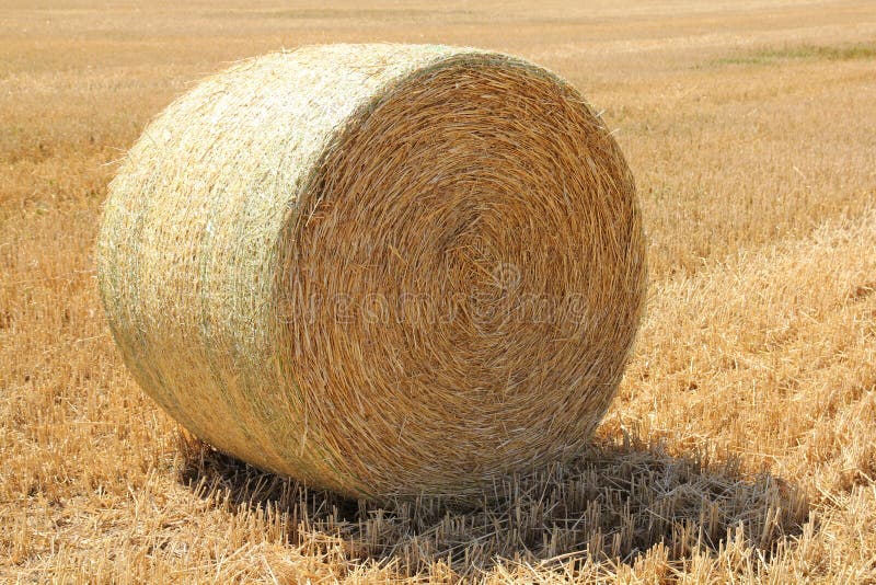 Balle ronde de paille image stock. Image du horizontal - 122235697