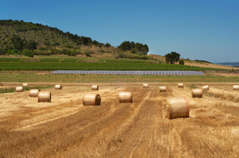 Ballen und Paneele stockbild. Bild von umgebung, wiese - 25863675