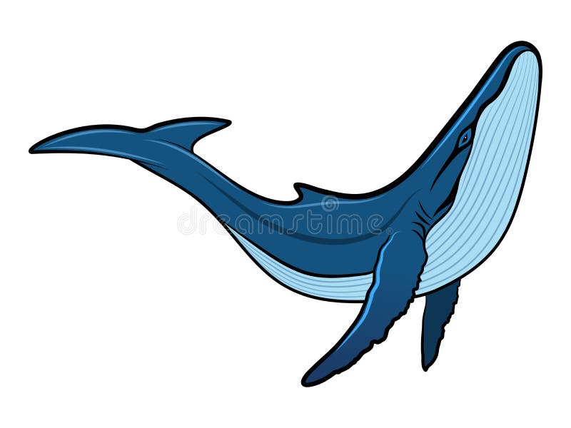 Ballena azul ilustración del vector. Ilustración de fauna - 133577866