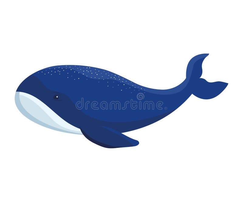 Ballena azul de colores ilustración del vector. Ilustración de océano ...
