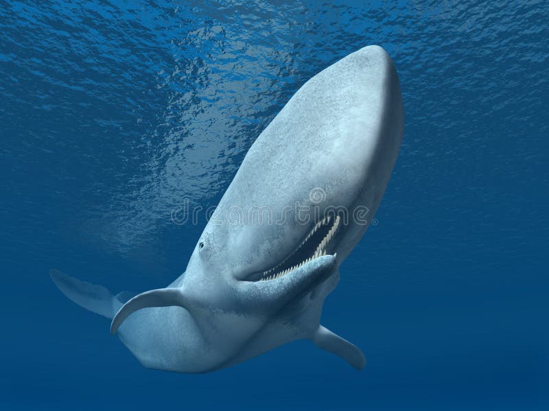 Ballena de esperma stock de ilustración. Ilustración de fauna - 31820941 Ballena de esperma stock de ilustración. Ilustración de fauna - 31820941