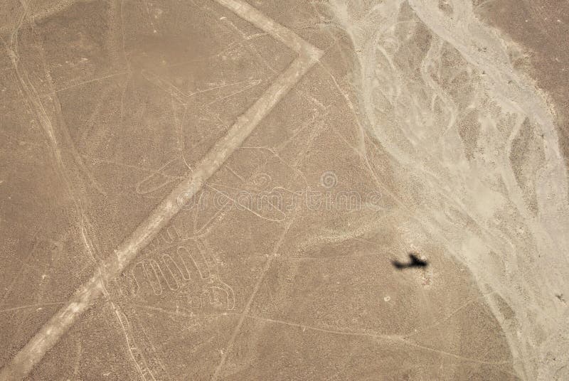 Las Líneas De Nazca De Ballena Son Una Serie De Grandes Geoglifos ...