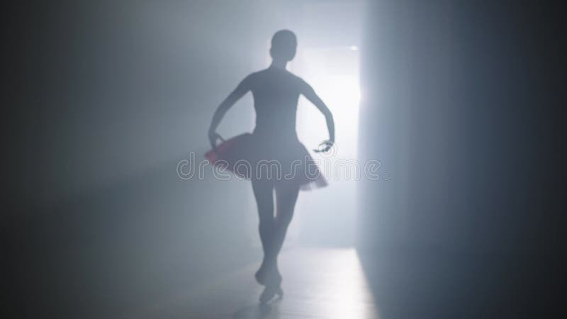 A Ballerina Performs Slow-motion Ballet Exercises in the Spotlight ...