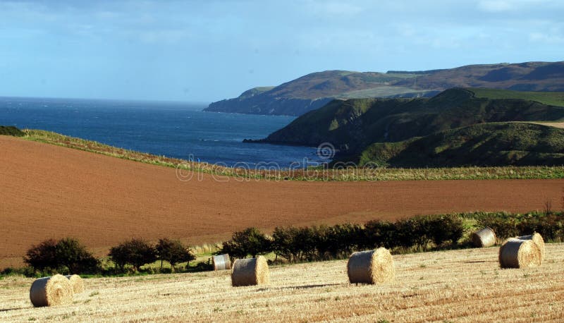 Balles De Foin Sur Le Littoral Image stock - Image of côtier, scénique ...