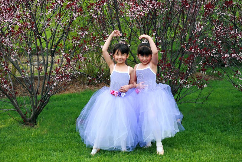 Ballet Joy stock image. Image of crowns, dress, ballerina - 6187649