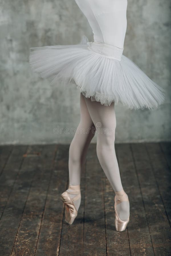 Ballet in Beautiful Style. Modern Ballet. Ballerina Dancer Stock Photo ...