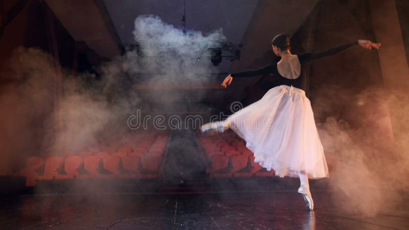 Ballet Dancer Making Graceful Moves Stock Video - Video of female ...