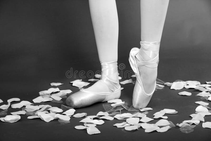 Ballet Dancer on Pointe stock image. Image of pointe - 57063203