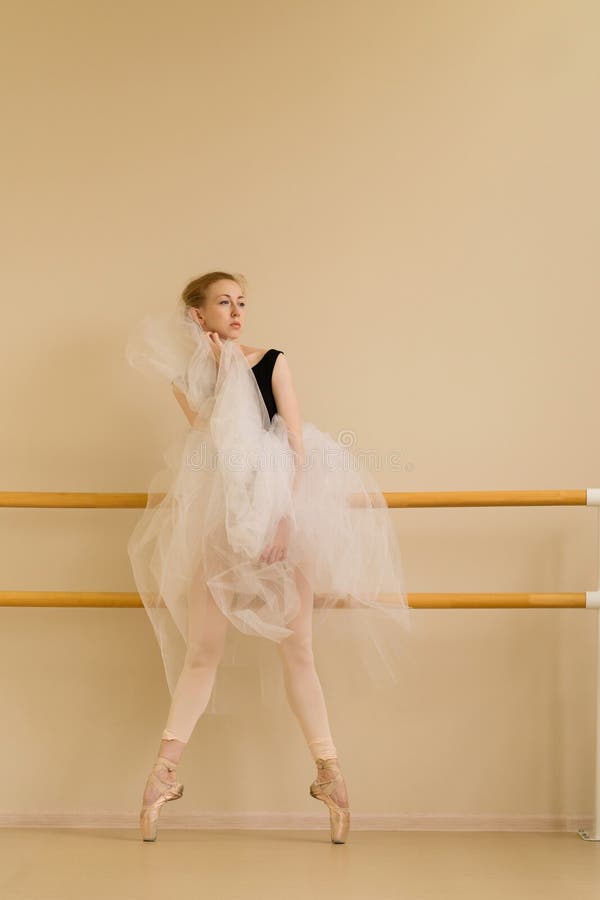 Ballet Dancer Poses Elegantly in a Dance Studio Stock Photo - Image of ...