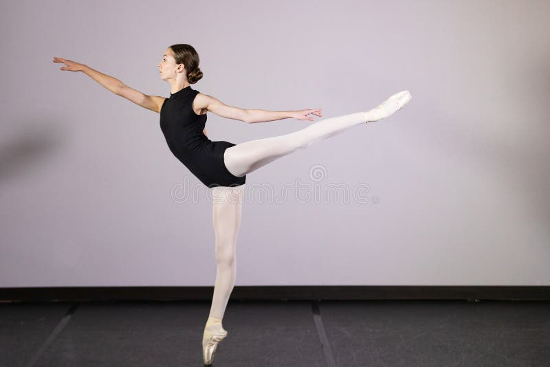 Ballet dancer stock image. Image of holding, person - 168657047