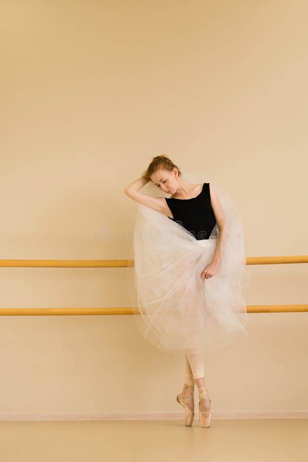 Ballet Dancer Strikes Pose with Tulle in Dance Studio Stock Photo ...