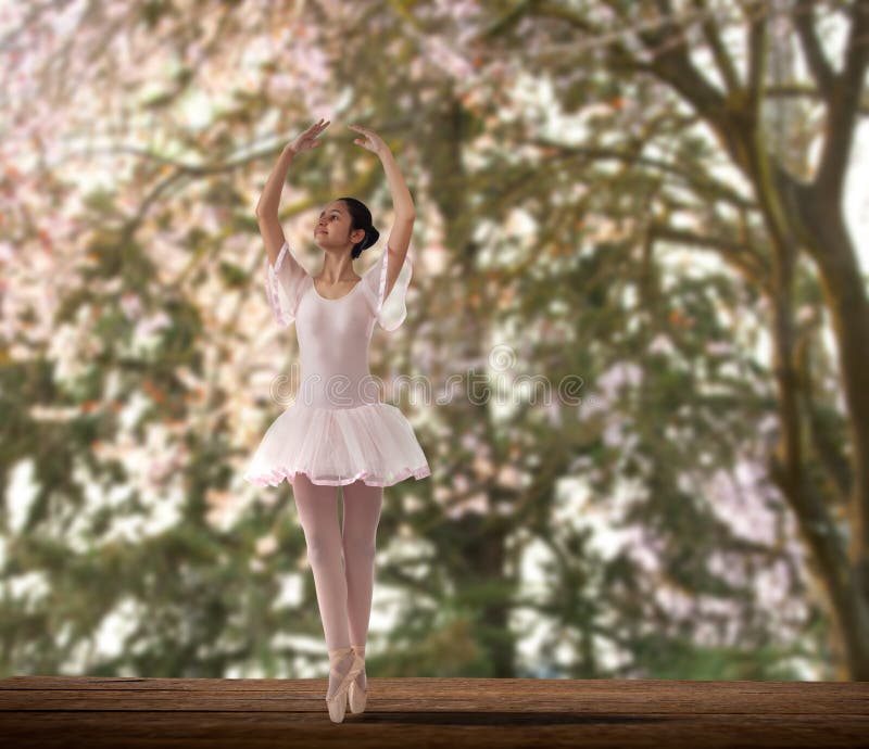 Ballet dancer stock photo. Image of tutu, female, caucasian - 59840812
