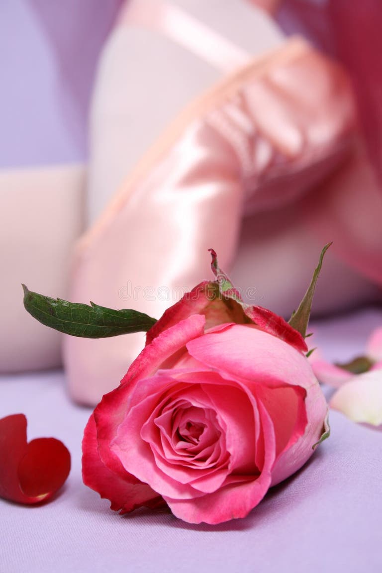 9,216 Ballet Shoe Shops Stock Photos - Free & Royalty-Free Stock Photos ...