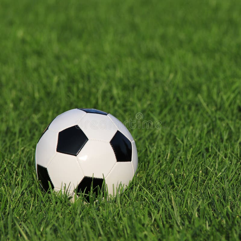 Ballon De Football Sur Le Champ Avec La Ligne. Le Football Sur L'herbe ... Ballon De Football Sur Le Champ Avec La Ligne. Le Football Sur L'herbe ...