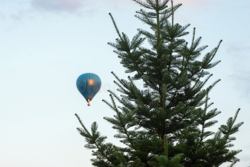 Balloon Floats in the Air Above the Tree. Stock Photo - Image of ...