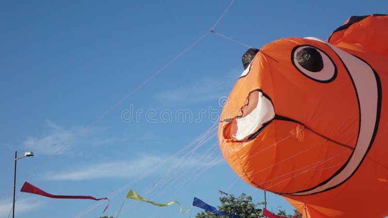 Balloon in form of fish stock footage. Video of motion - 78160038