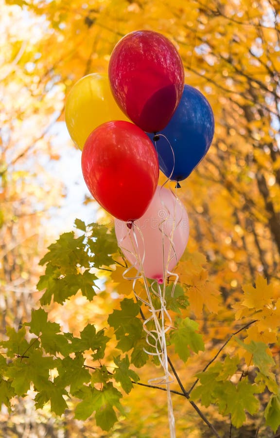 Balloons on a Background of Autumn Leaves Stock Image - Image of ...
