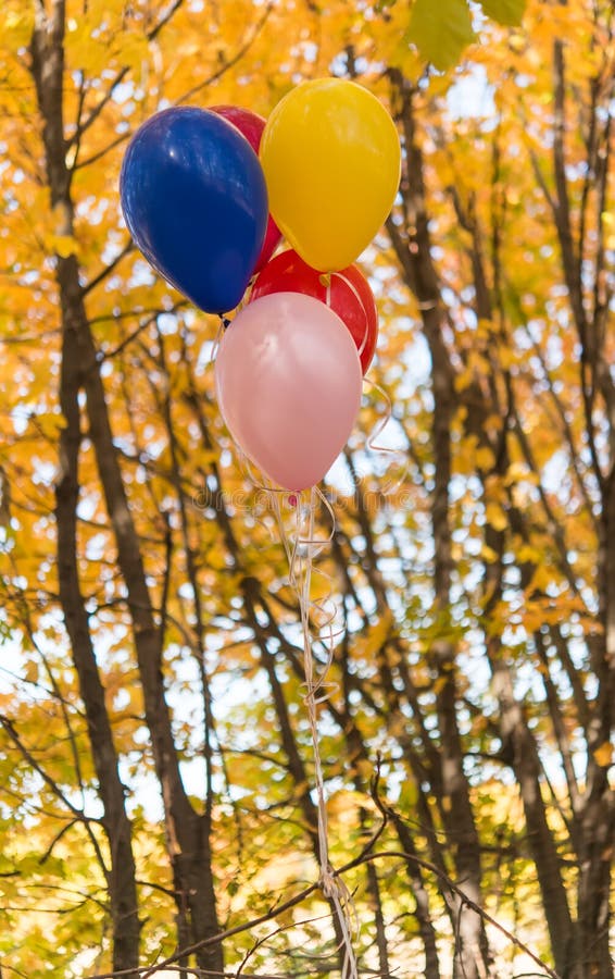 Balloons on a Background of Autumn Leaves Stock Image - Image of ...