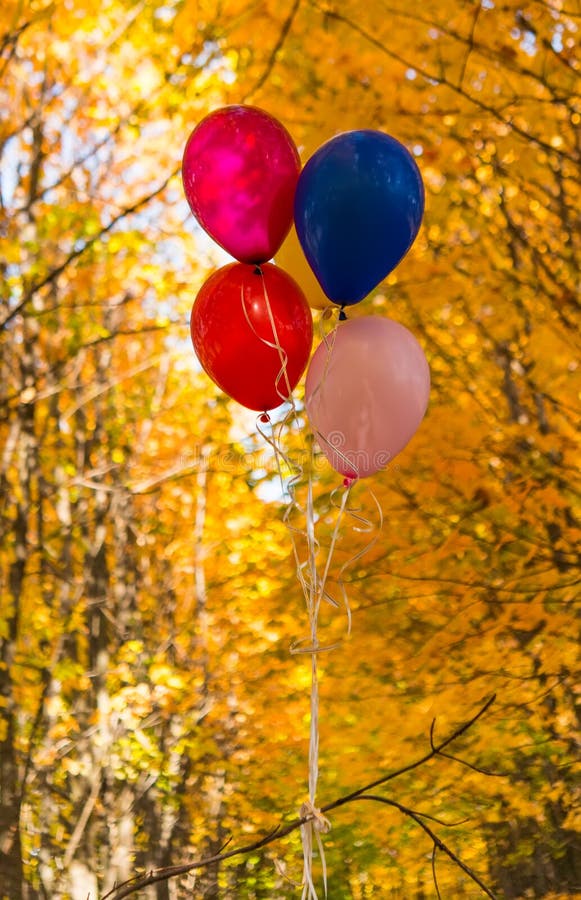 Balloons on the Background of Autumn Leaves Stock Image - Image of gift ...