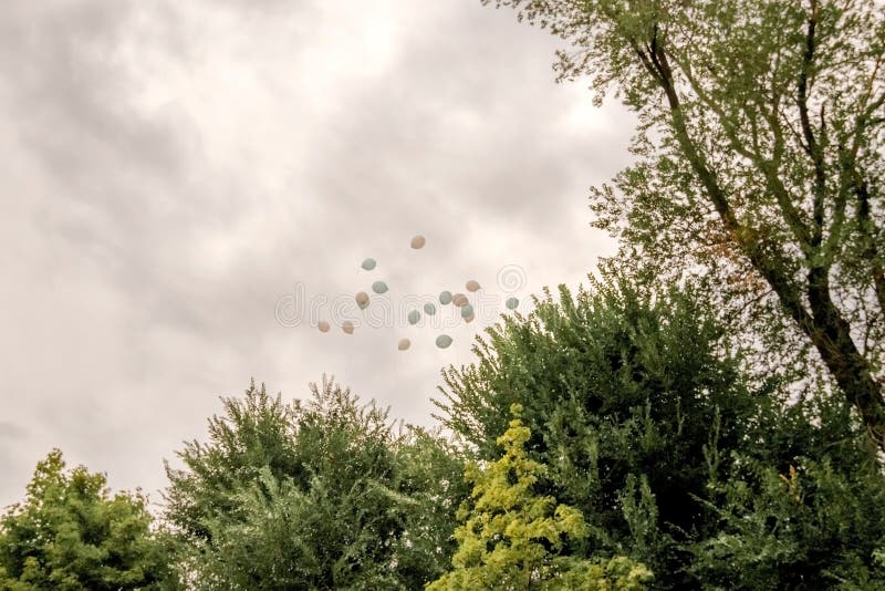Balloons Fly into the Sky Above Green Trees Stock Photo - Image of ...