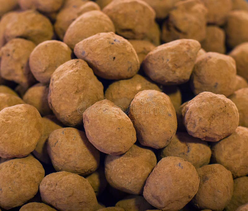 Balls of chocolate truffle stock photo. Image of powder - 46850894