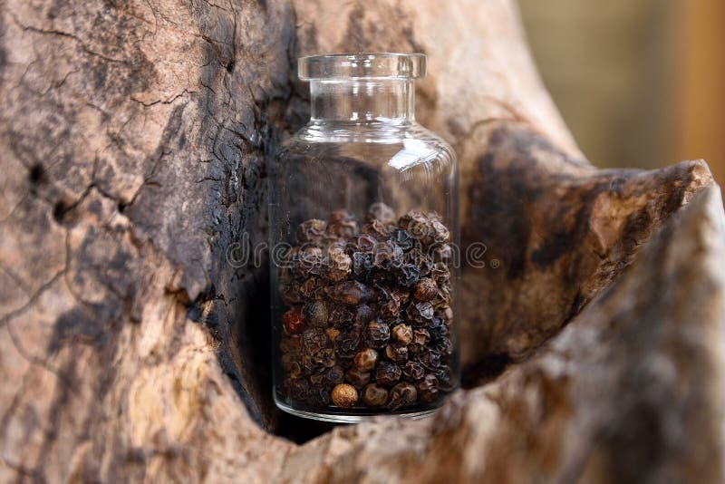 Balls of Whole Black Pepper in a Small Glass Bottle on a Tree Trunk ...