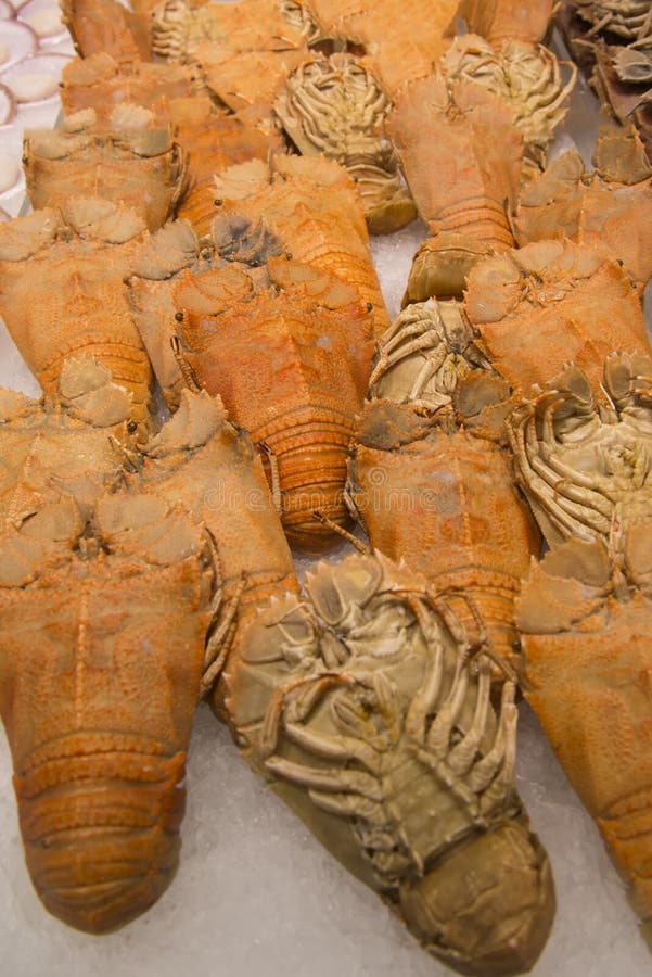 Balmain bugs stock image. Image of balmain, meal, sydney - 57746131