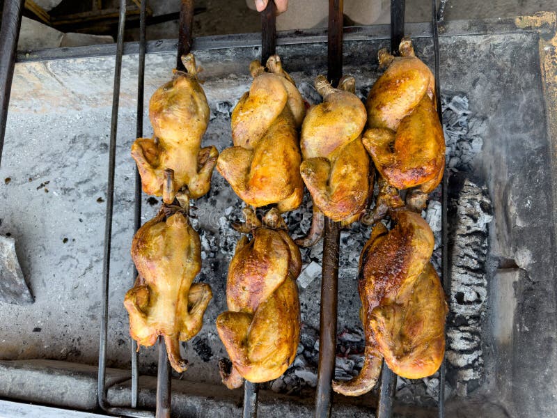 Balochi Chicken Stock Photos - Free & Royalty-Free Stock Photos from ...