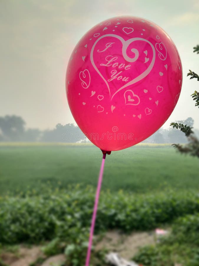 Baloon stock photo. Image of love, baloon, naturr - 168127658