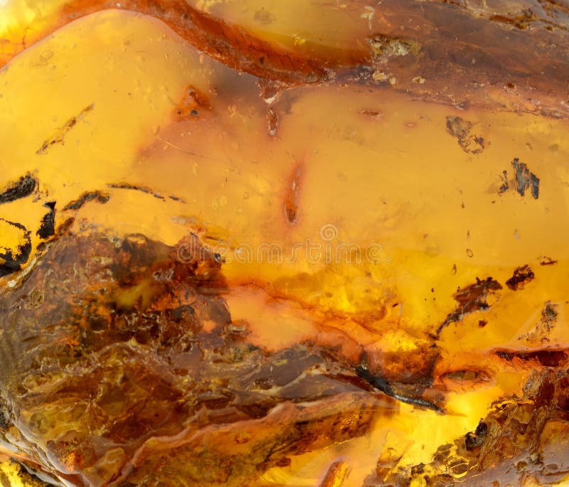 Baltic Amber Stone. stock image. Image of inclusion, golden - 48382113
