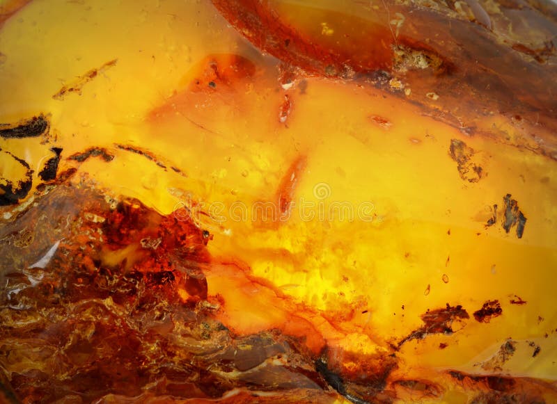 Raw Amber Resin stock image. Image of resin, alive, amber - 152956987