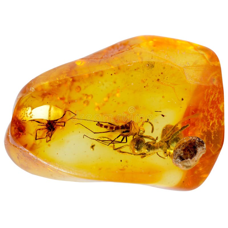 Baltic Amber Stone. stock image. Image of inclusion, golden - 48382113