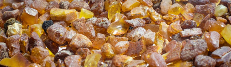Baltic Amber with Visible Details. Background or Textura Stock Image ...