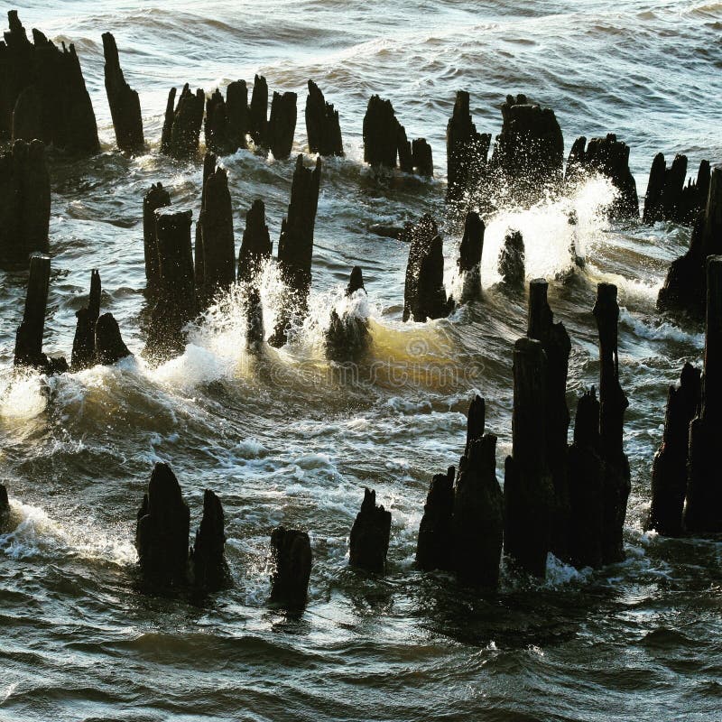 Baltic Coast in Germany stock photo. Image of beach - 348965200