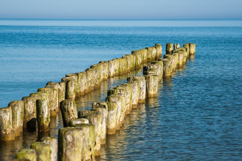Baltic Sea stock photo. Image of park, path, countryside - 67282560
