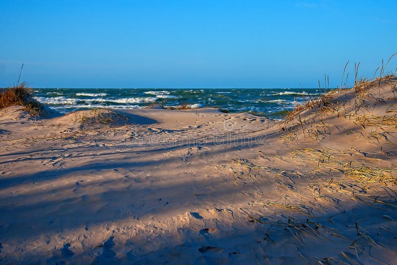 Baltic Sea coast. Bernati stock image. Image of scenery - 93113445